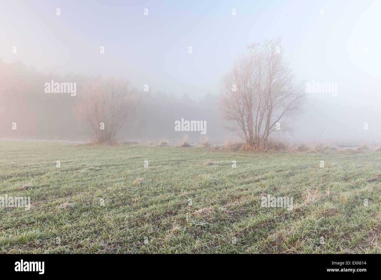 Beautiful morning landscape on countryside. Foggy and calm morning near ...