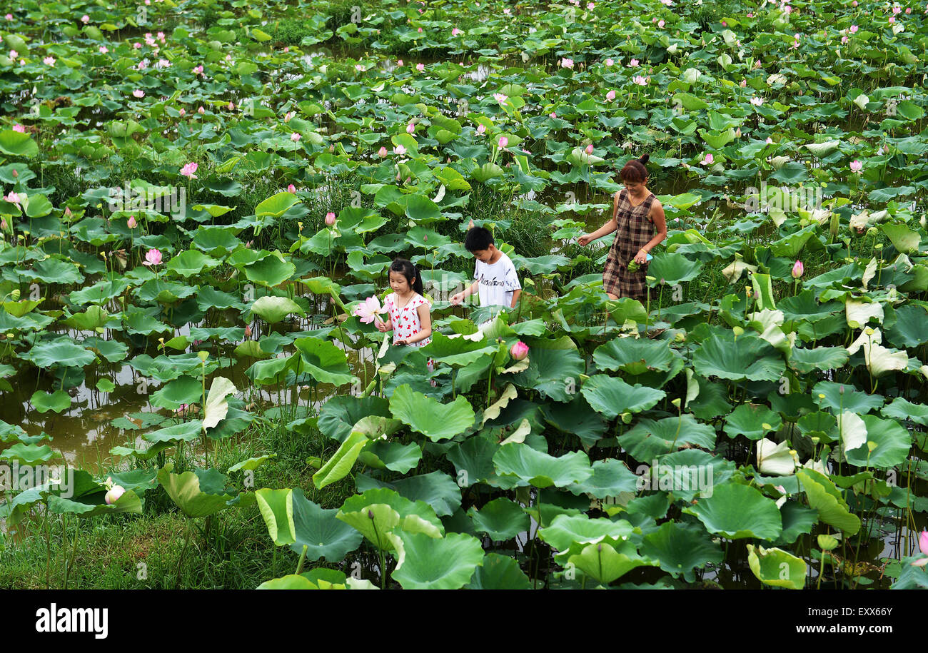 Nanchang, China's Jiangxi Province. 17th July, 2015. Tourists walk ...