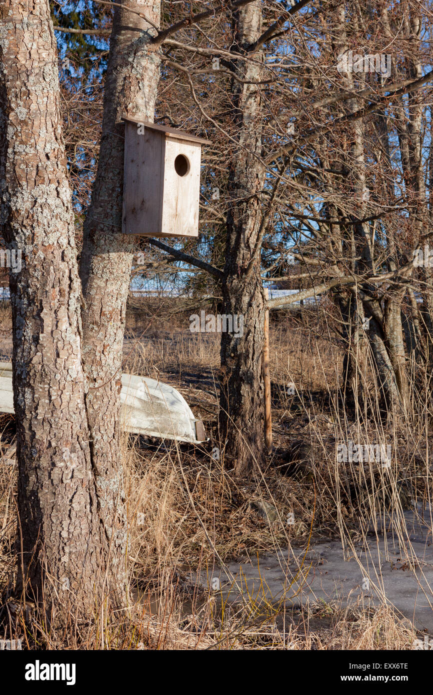 Waterfowl nest hi-res stock photography and images - Alamy