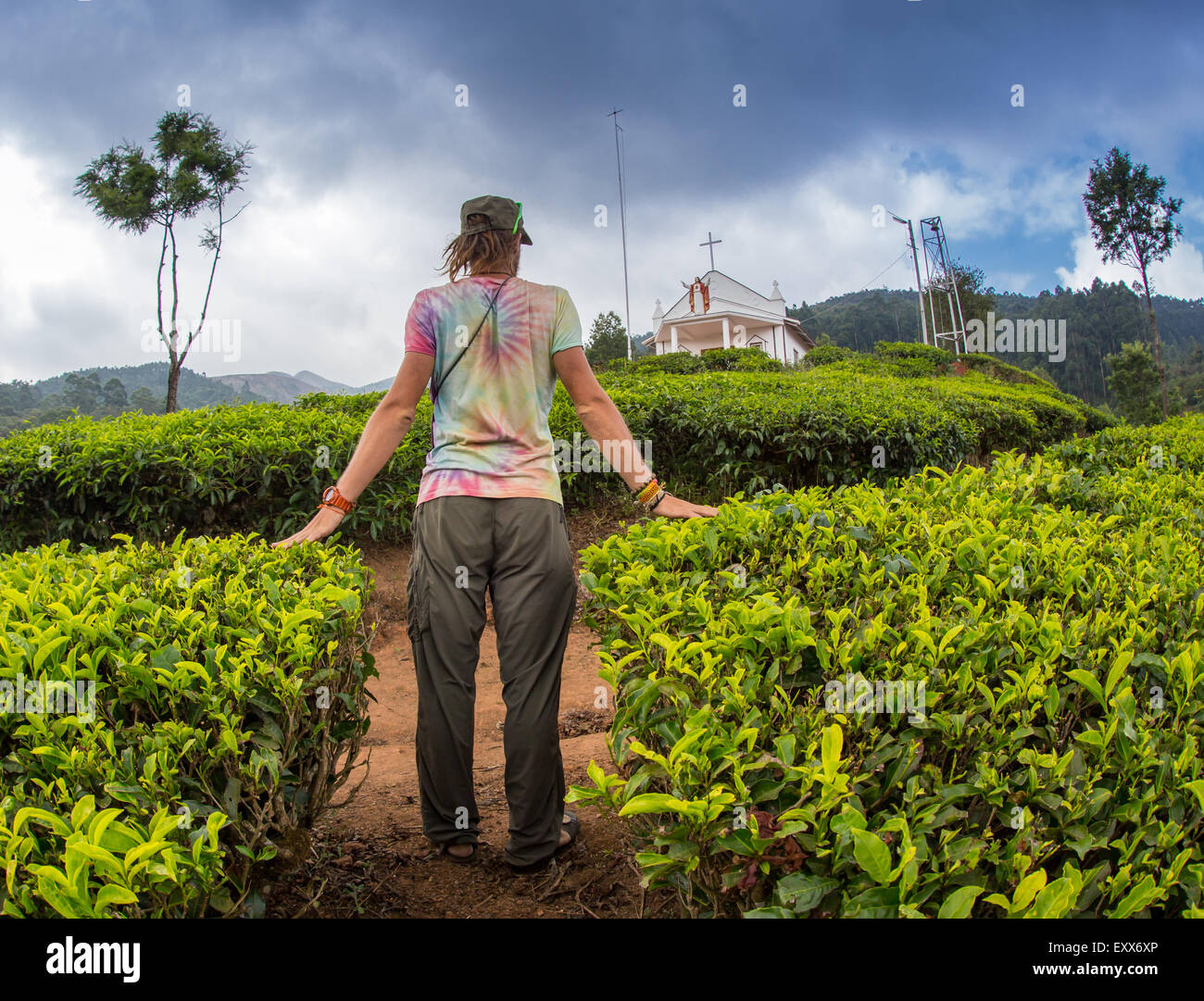 F crop plant hi-res stock photography and images - Alamy