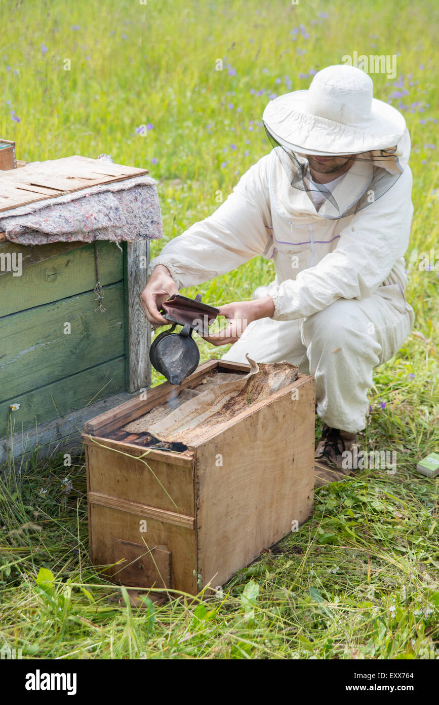 June agriculture apiary bee beehive beekeeper beeswax box bushes cap ...