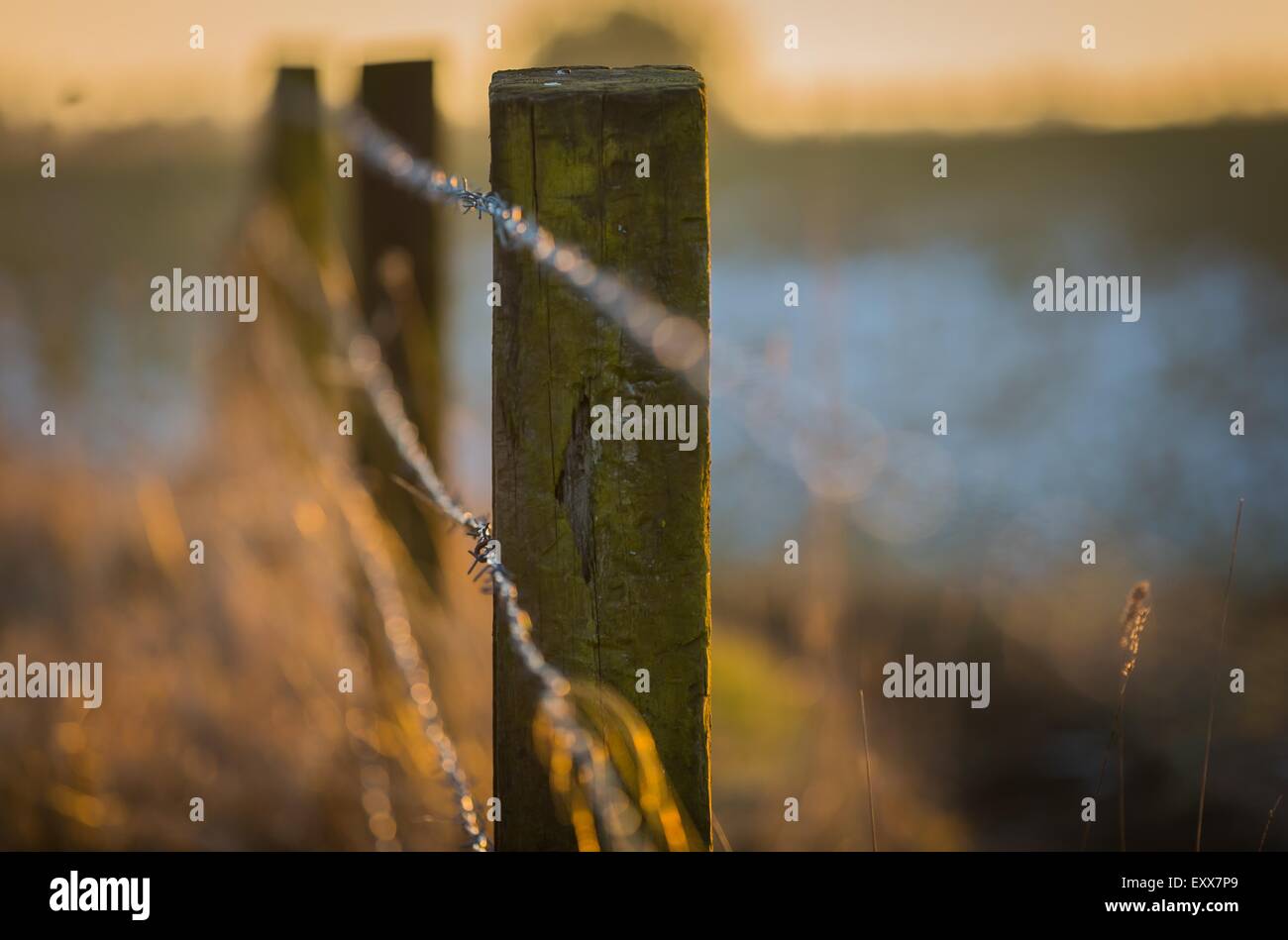 Early spring meadow with barbed wire fence at sunset. Polish landscape ...
