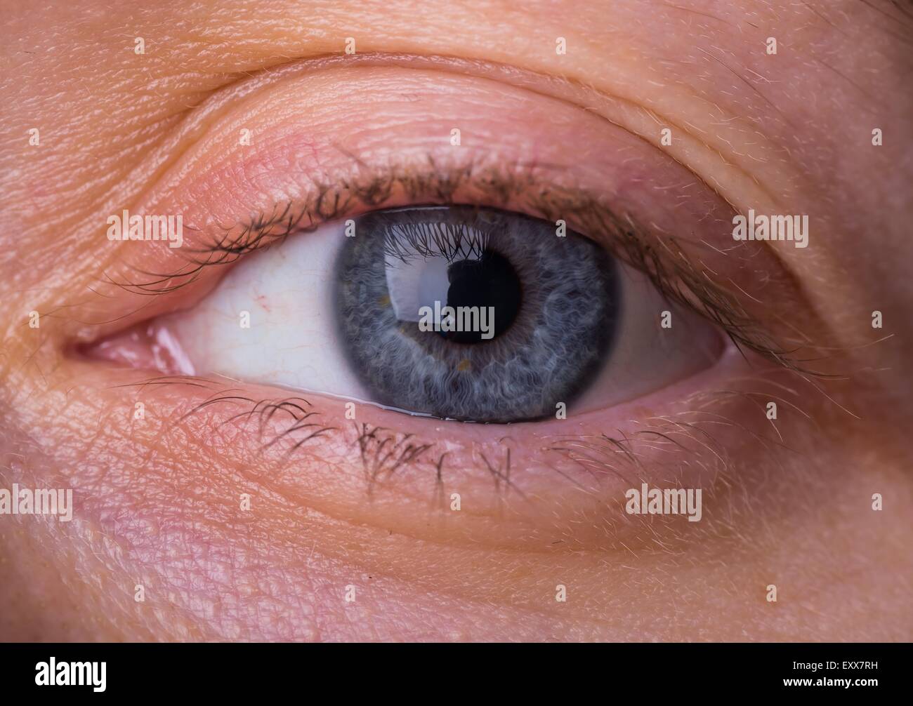 Lue eye hi-res stock photography and images - Alamy