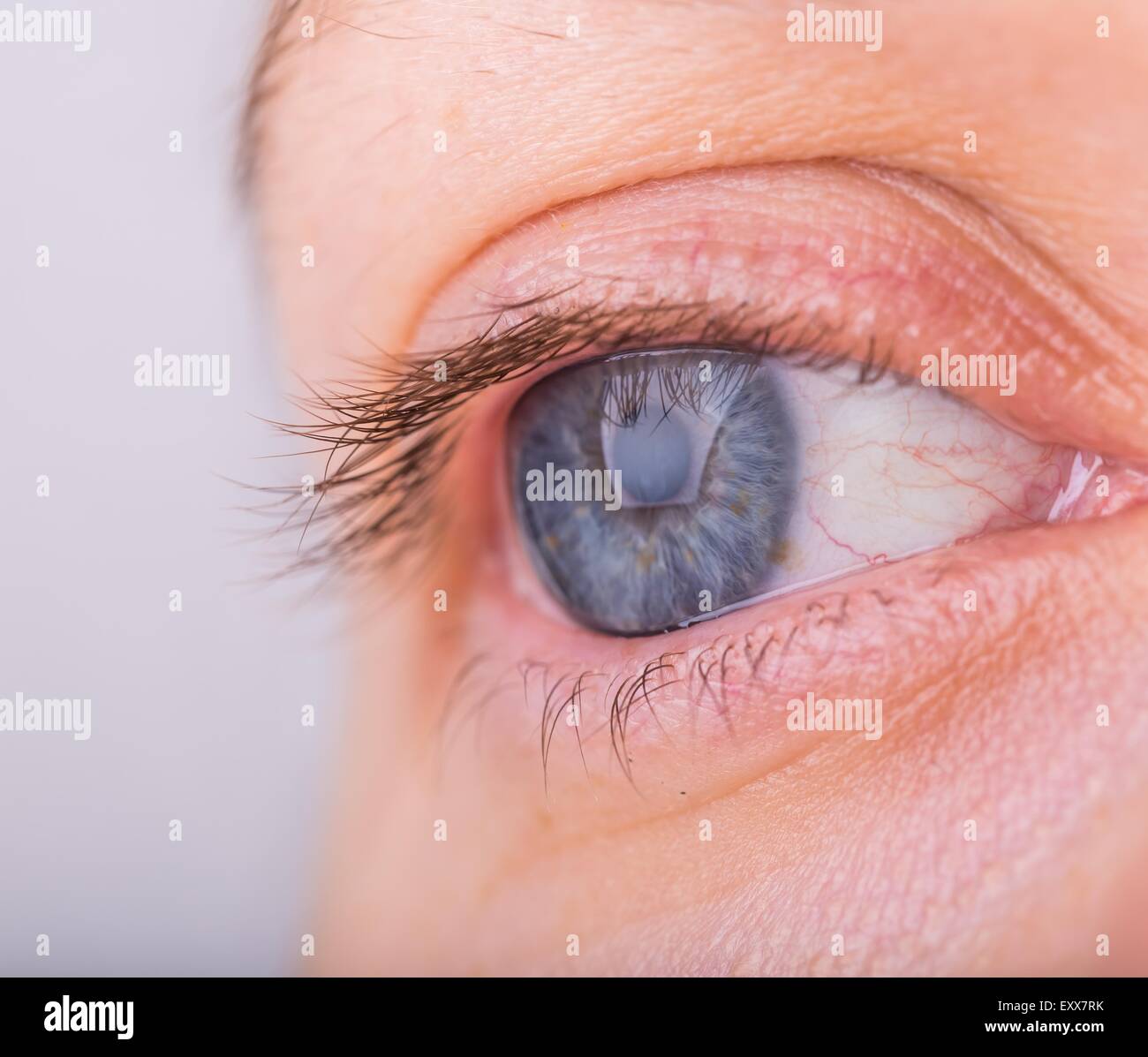 Woman lue eye in close up. Human eye in close up Stock Photo - Alamy