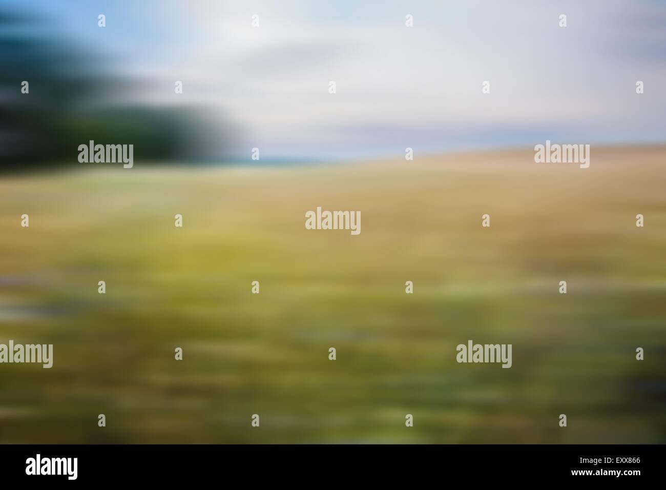 Blurry, defocused field landscape useful as background. Out of focus ...