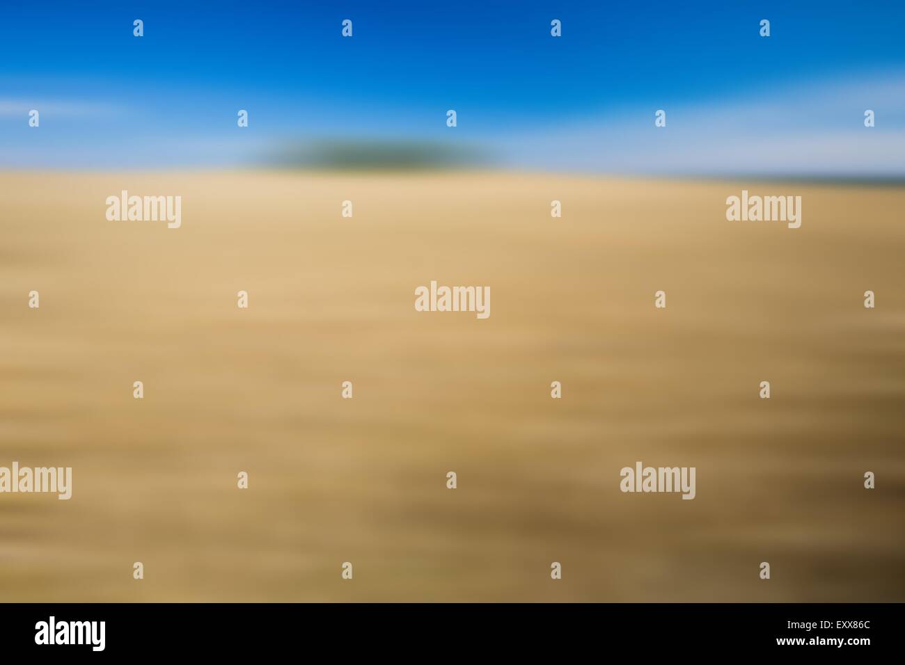 Blurry, defocused field landscape useful as background. Out of focus ...