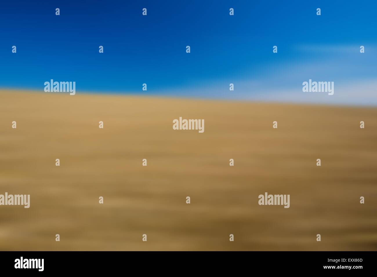 Blurry, defocused field landscape useful as background. Out of focus ...