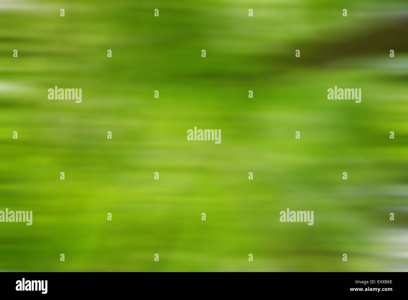 Blurry, defocused field landscape useful as background. Out of focus ...