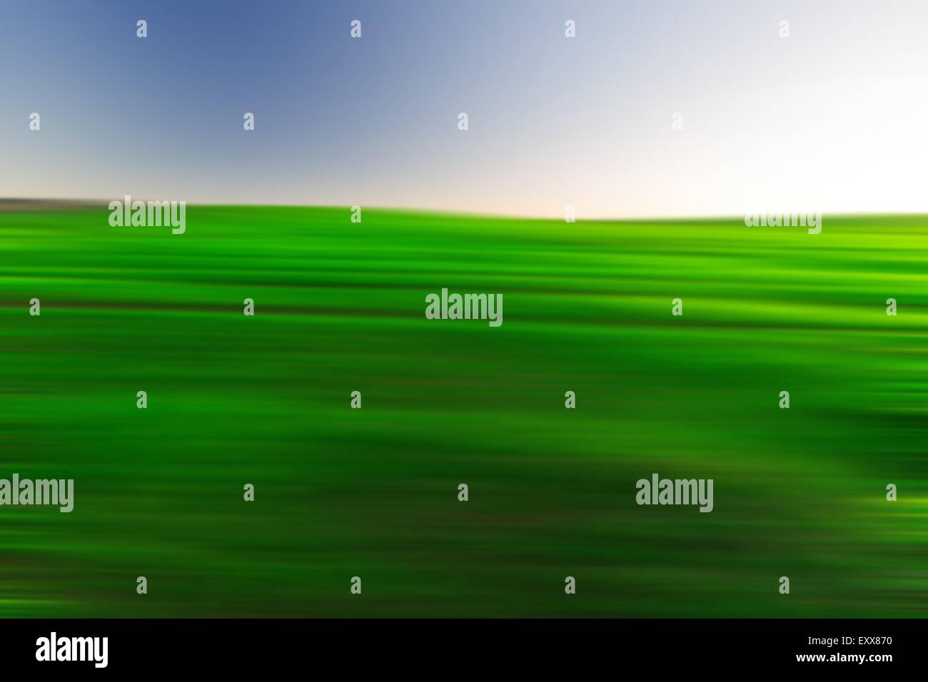 Blurry, defocused field landscape useful as background. Out of focus ...