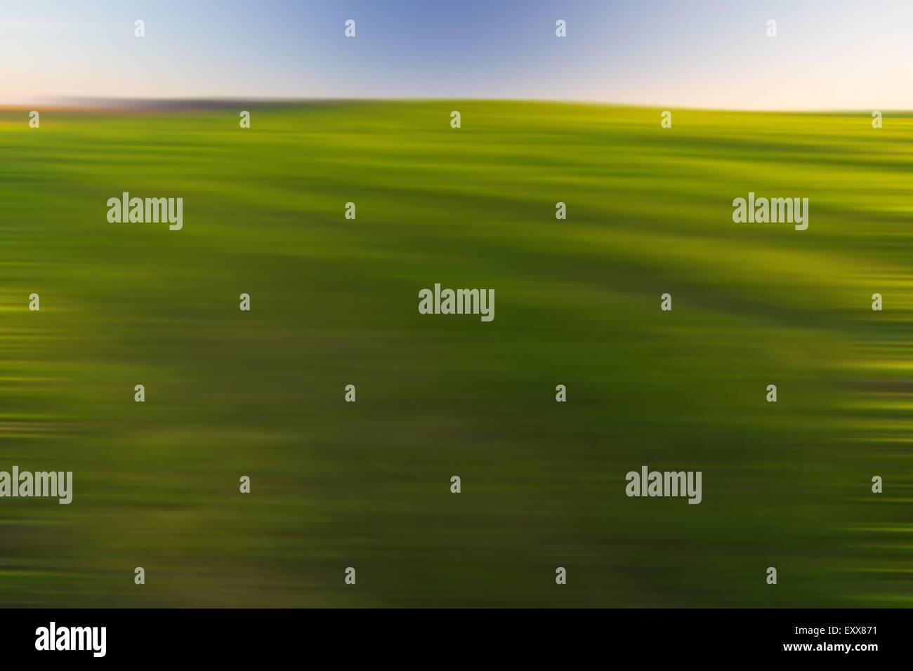 Blurry, defocused field landscape useful as background. Out of focus ...