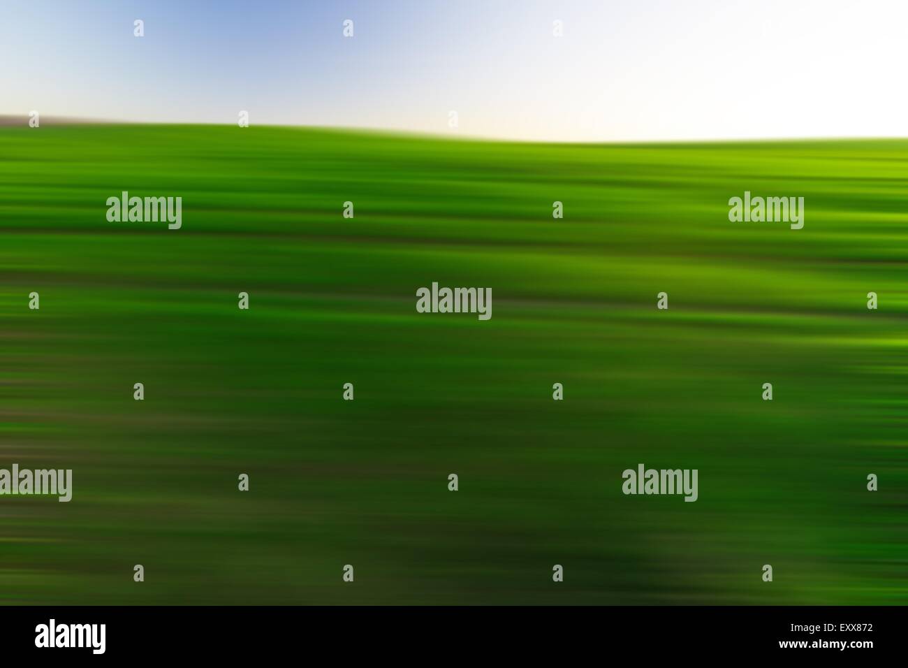 Blurry, defocused field landscape useful as background. Out of focus ...