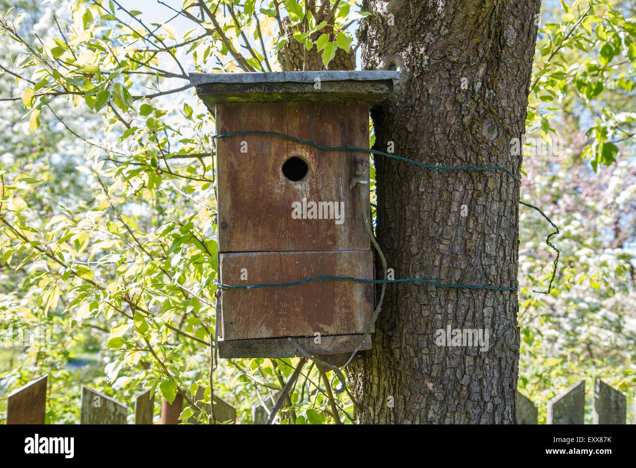 Old nest box hi-res stock photography and images - Alamy