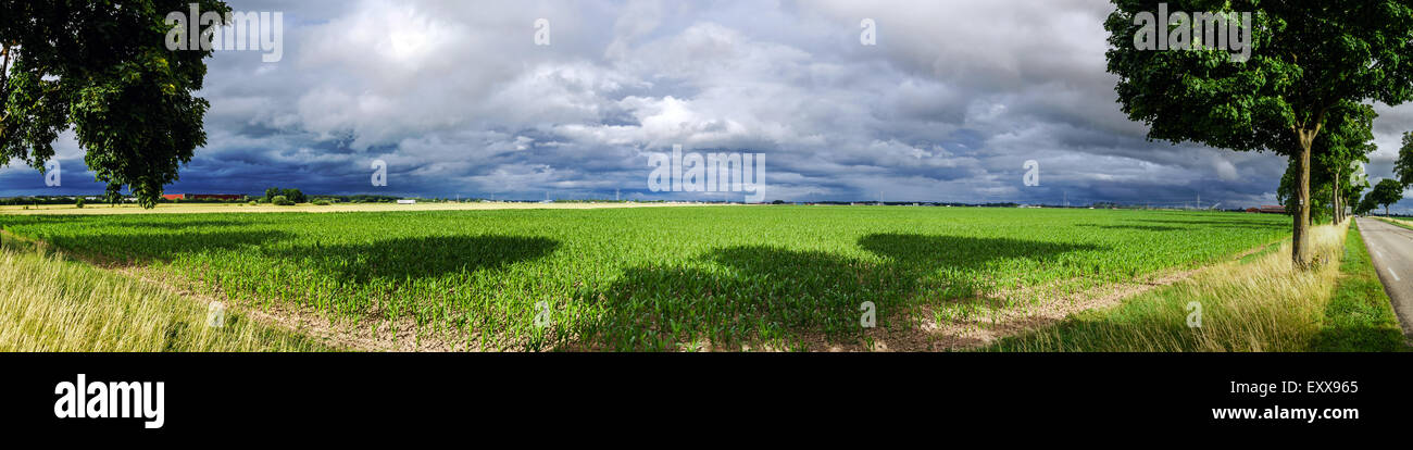 Beautiful panoramic view of alsacien fields, France Stock Photo - Alamy