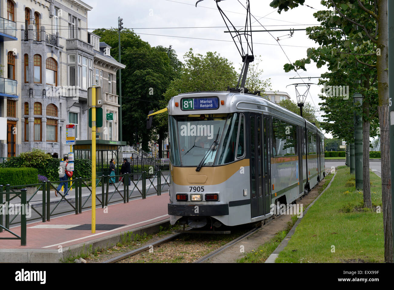 Brussels Tram on Line 81 -1 Stock Photo - Alamy