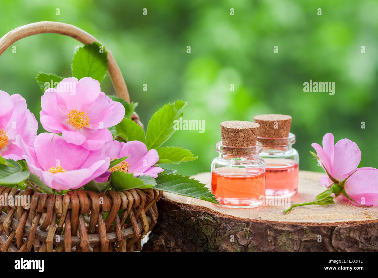 Wicker basket with rose hip flowers and bottles of essential oil Stock ...