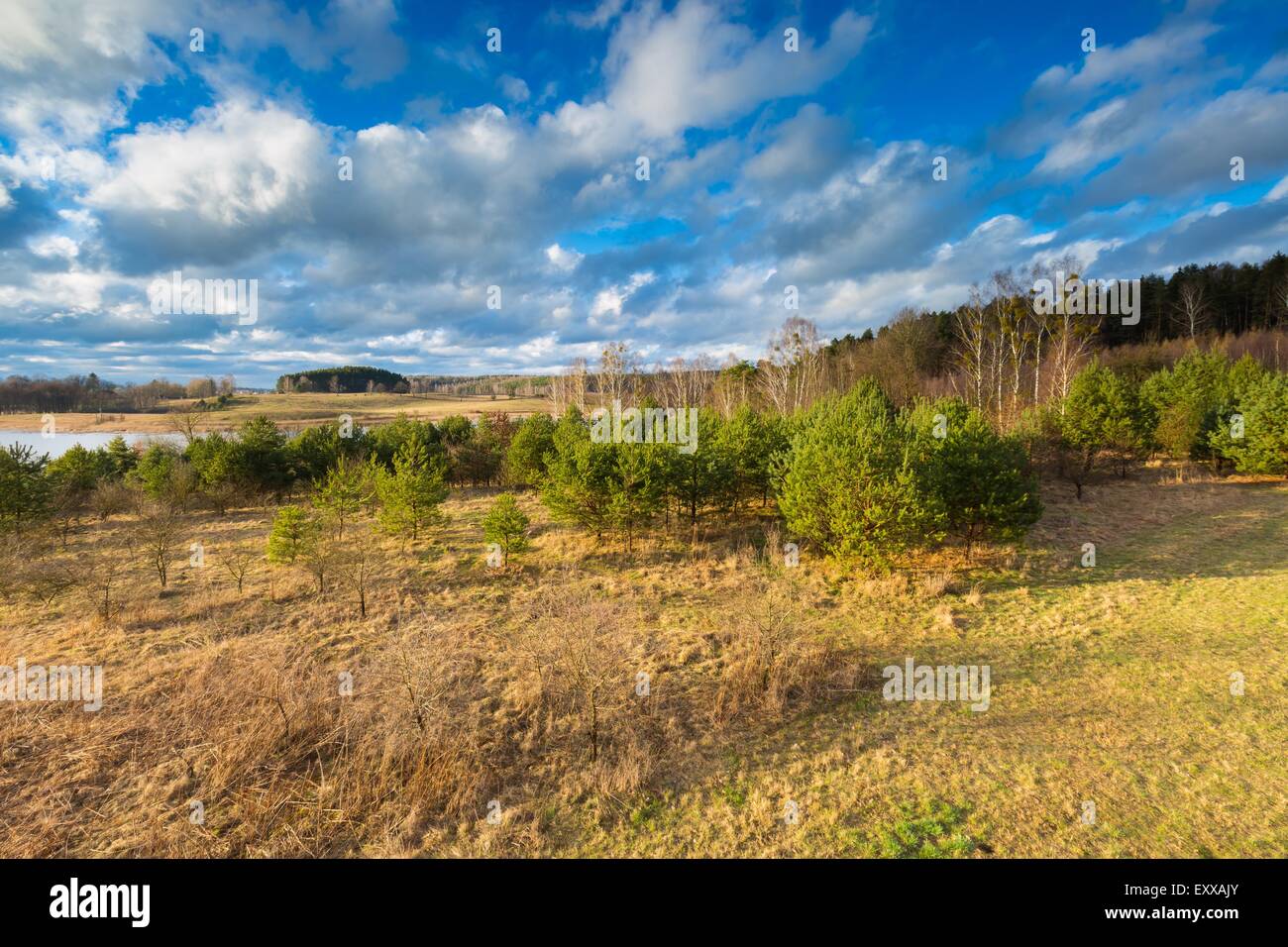 Beautiful landscape photographed from above (from tall observation ...
