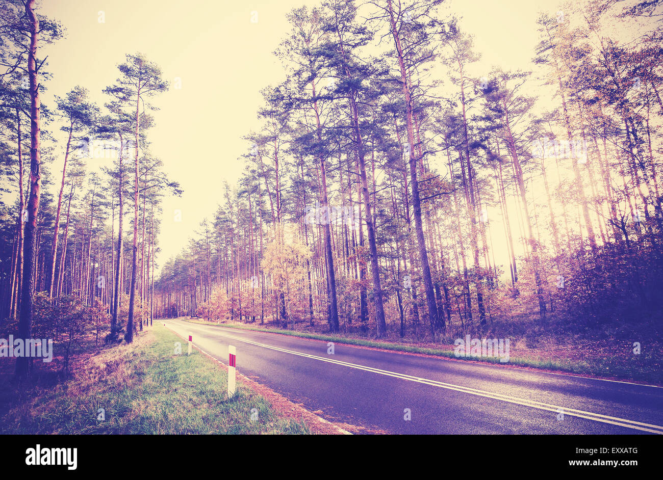 Vintage forest wallpaper hi-res stock photography and images - Alamy