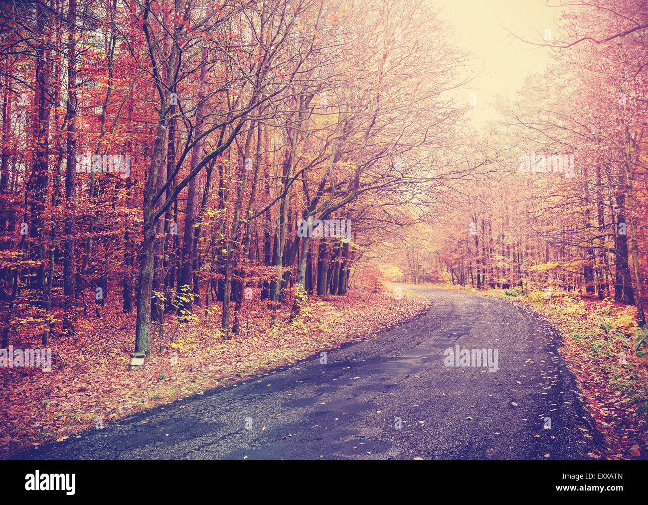 Fantasy road hi-res stock photography and images - Alamy