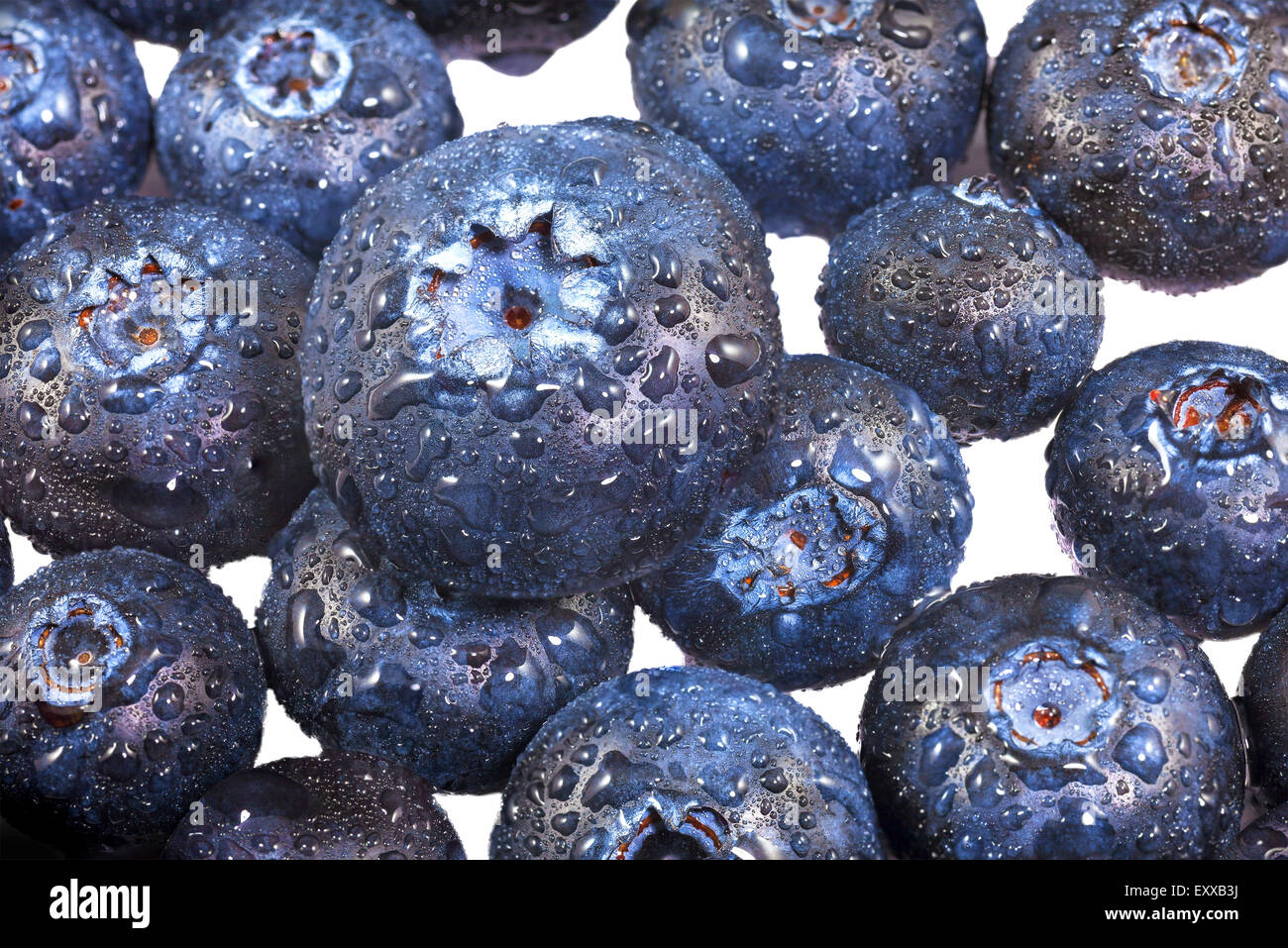 Fresh blueberry fruits hi-res stock photography and images - Alamy