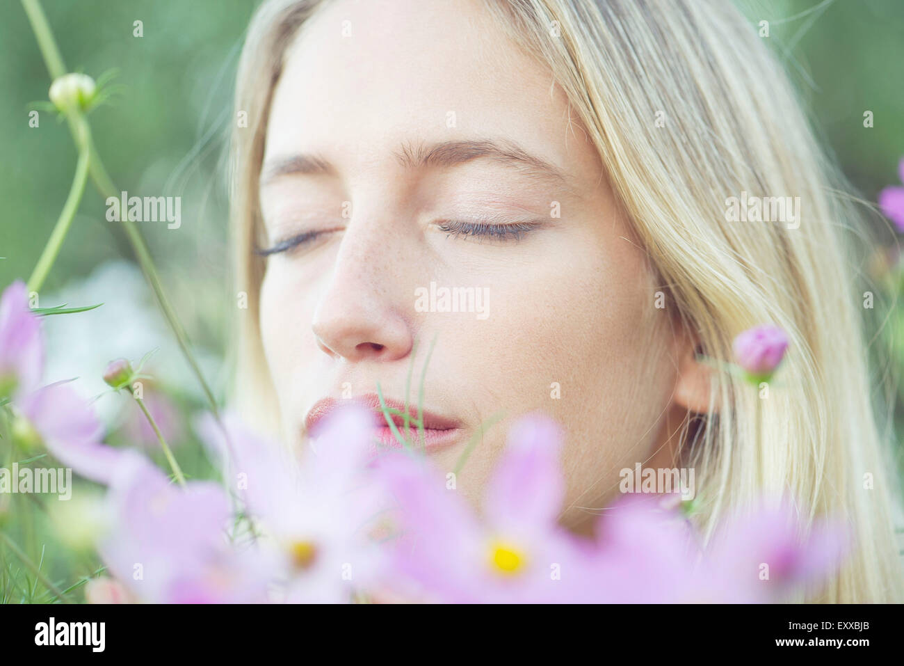 Woman smelling flowers Stock Photo - Alamy