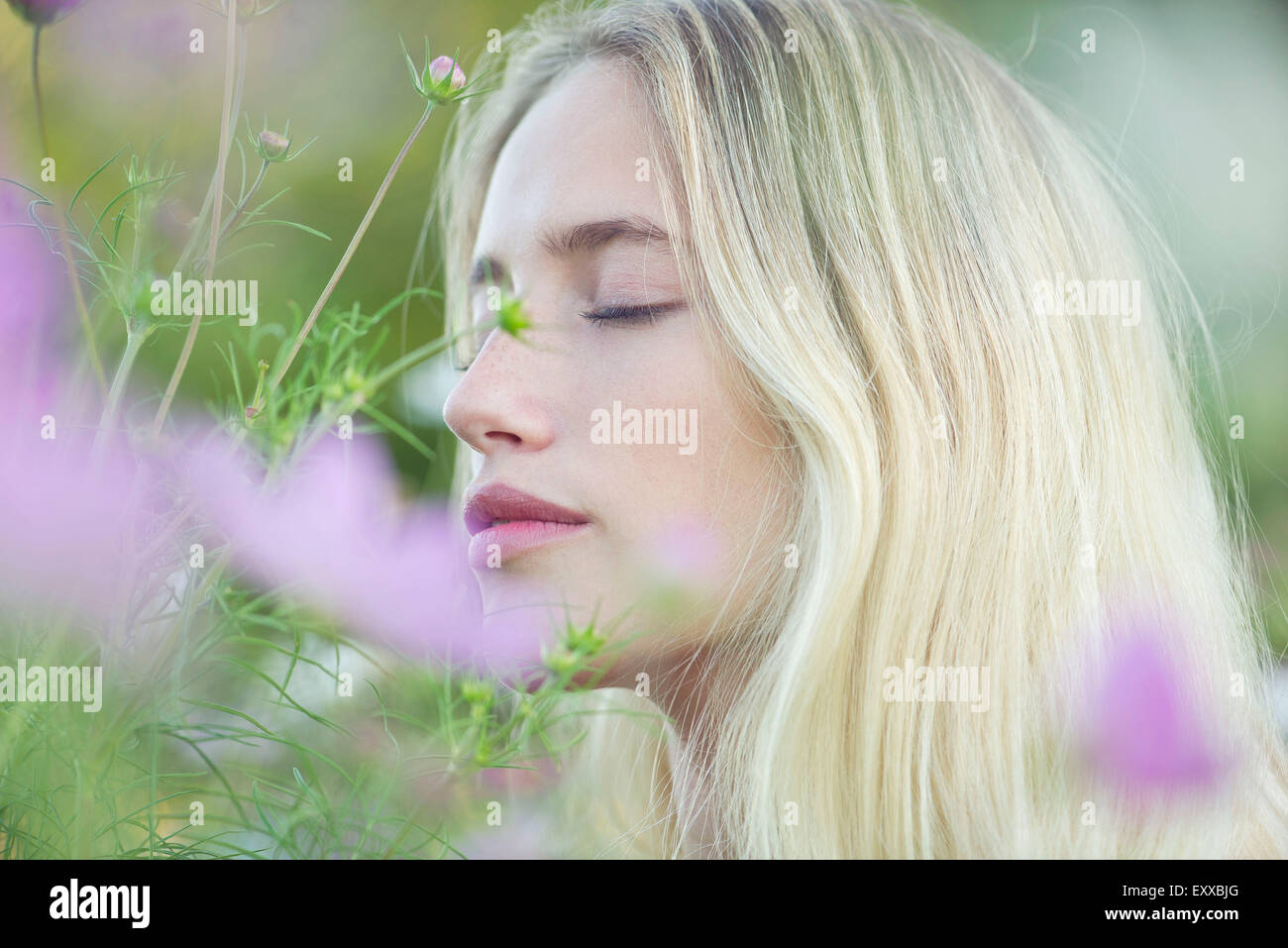 Woman smelling flowers Stock Photo - Alamy