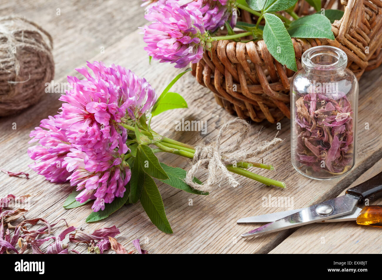 Still life with dried flowers hi-res stock photography and images - Alamy
