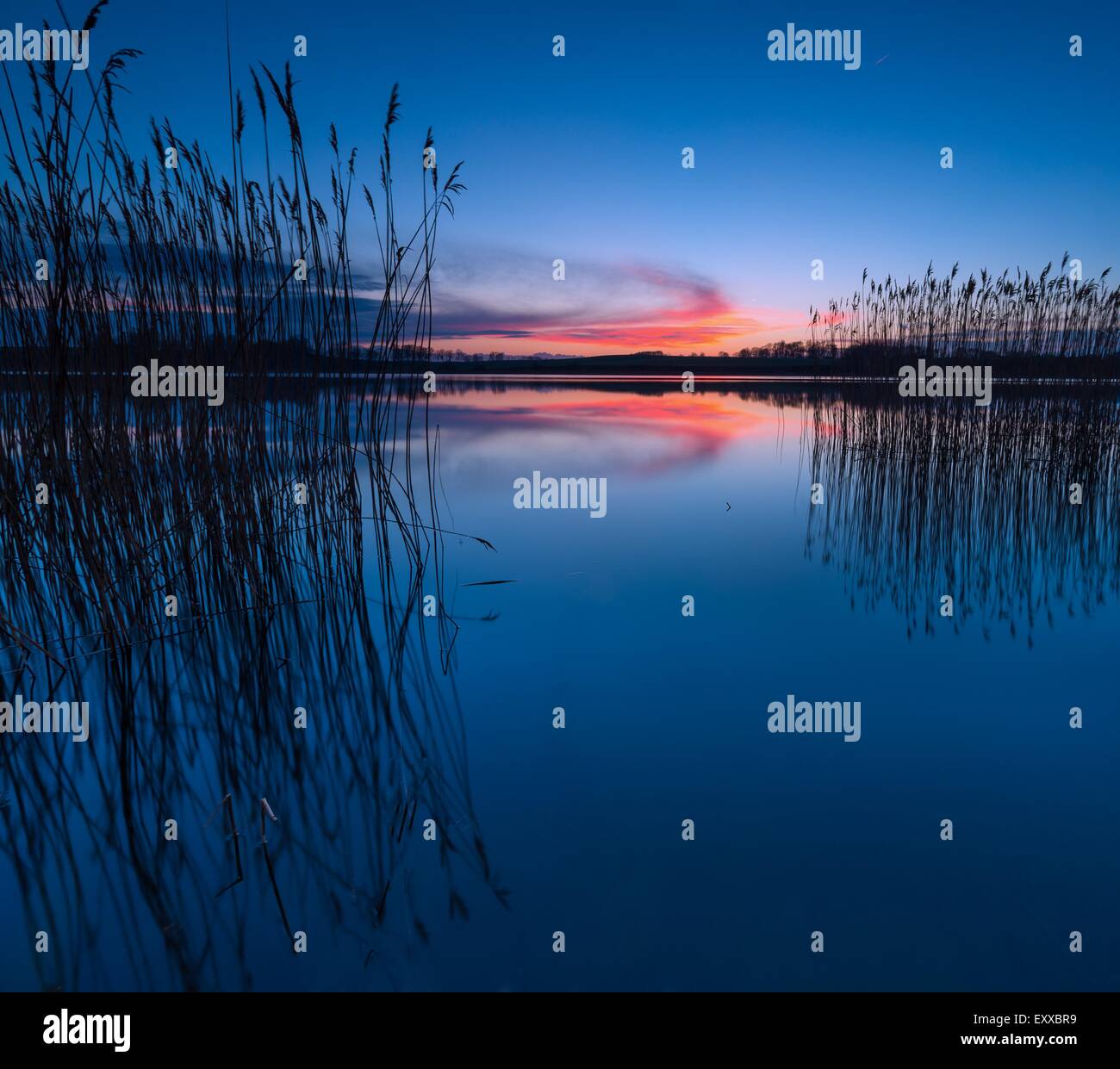 Beautiful sunset over calm lake. Colorful and vibrant landscape of lake ...