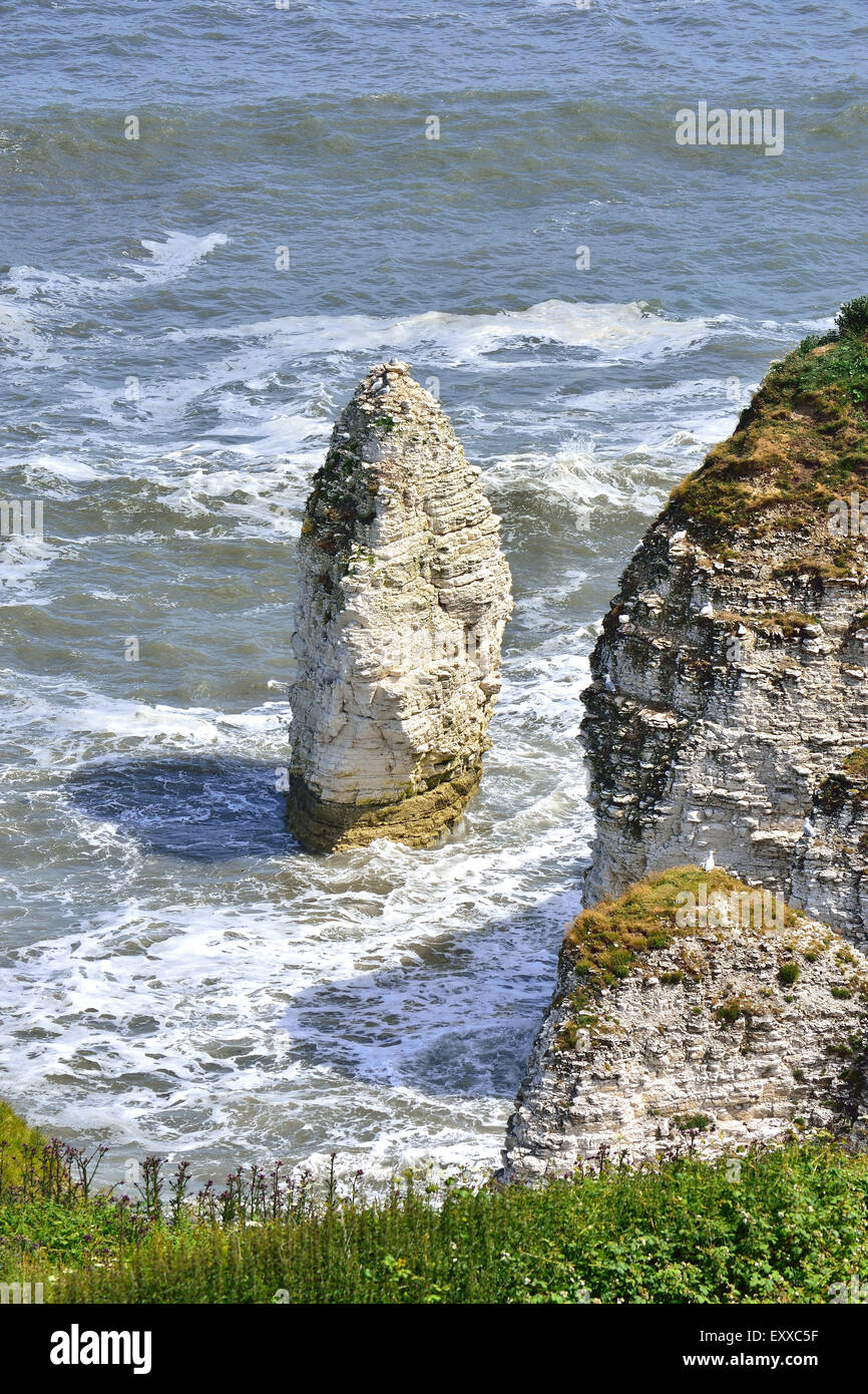 Flamborough Head's Chalk Cliffs Stock Photo - Alamy