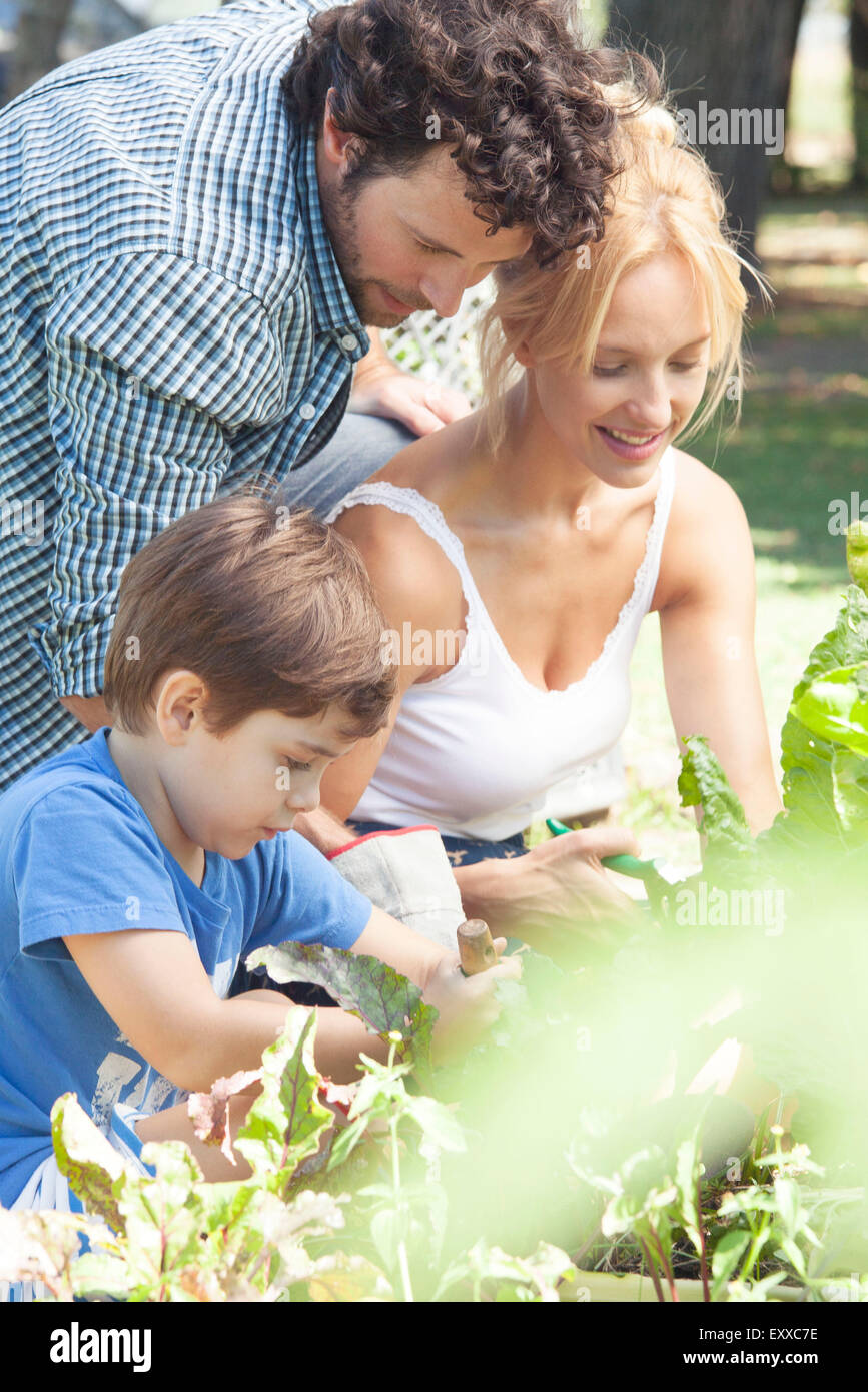 Little boy helping his parents garden Stock Photo - Alamy