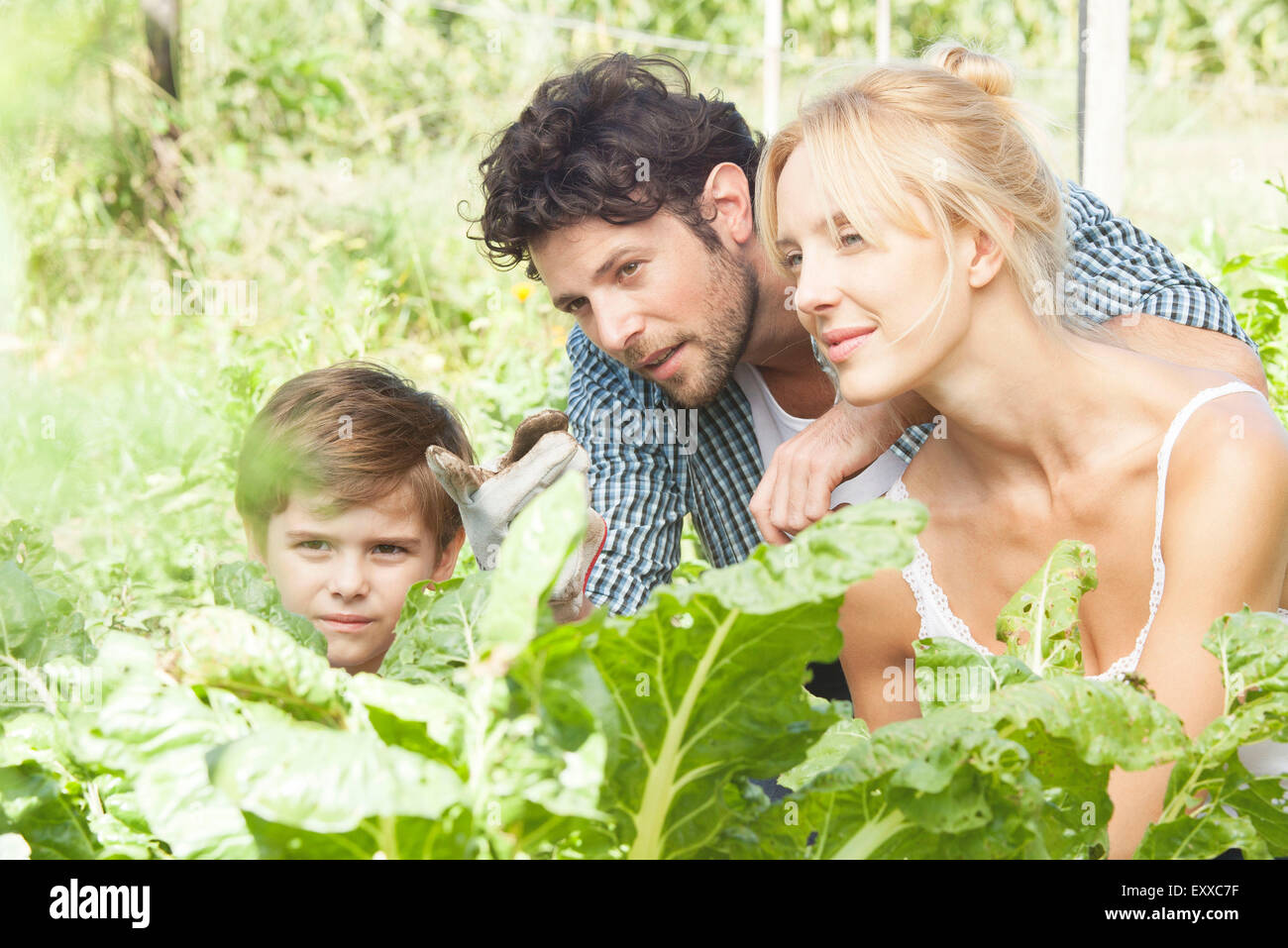 Family gardening together Stock Photo - Alamy
