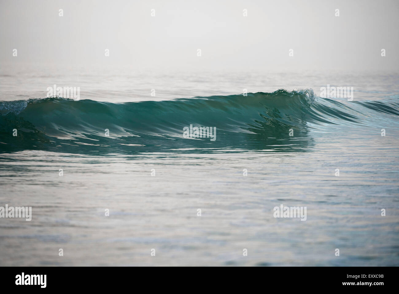 Wave cycle hi-res stock photography and images - Alamy
