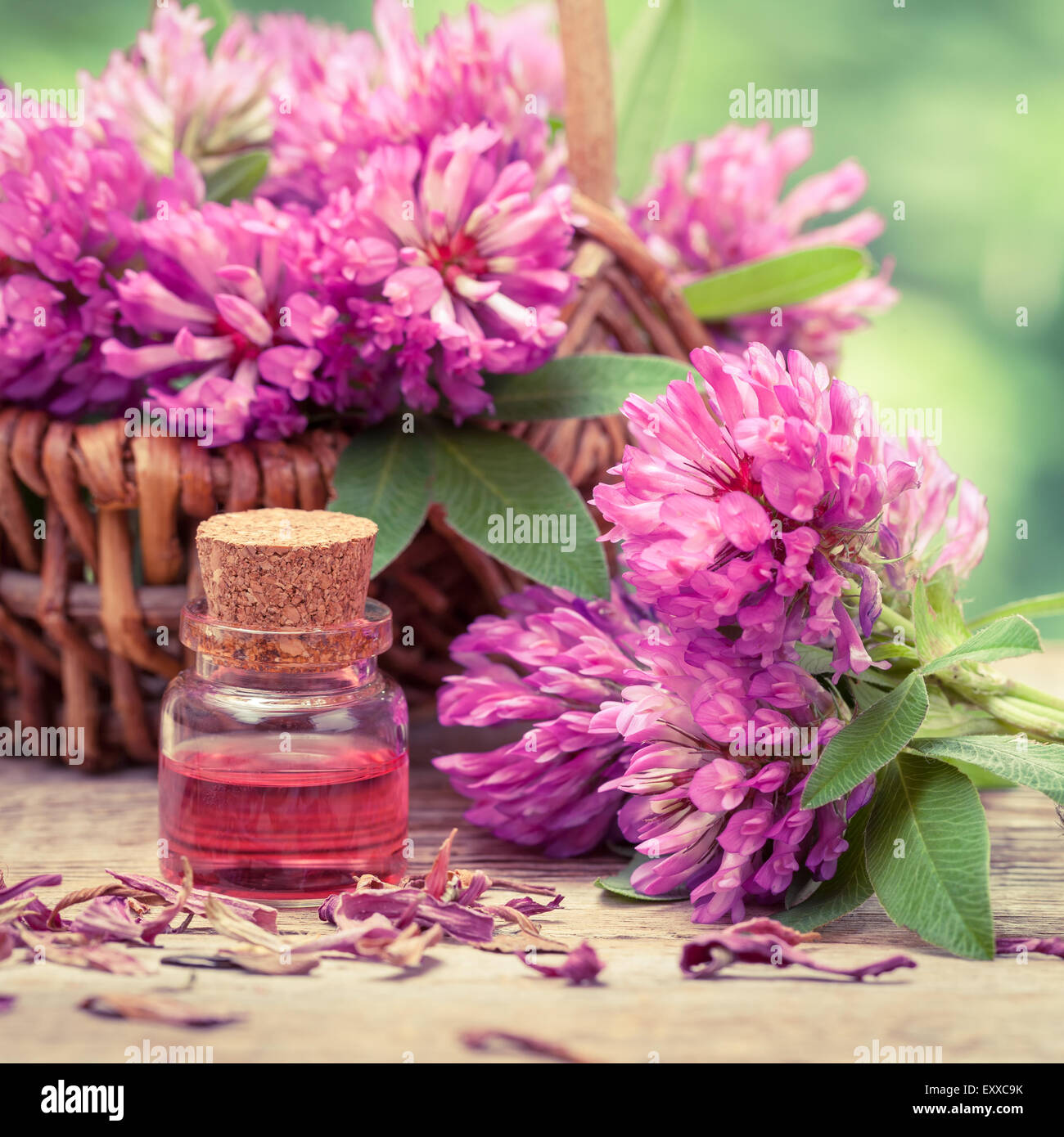 Elixir hi-res stock photography and images - Alamy