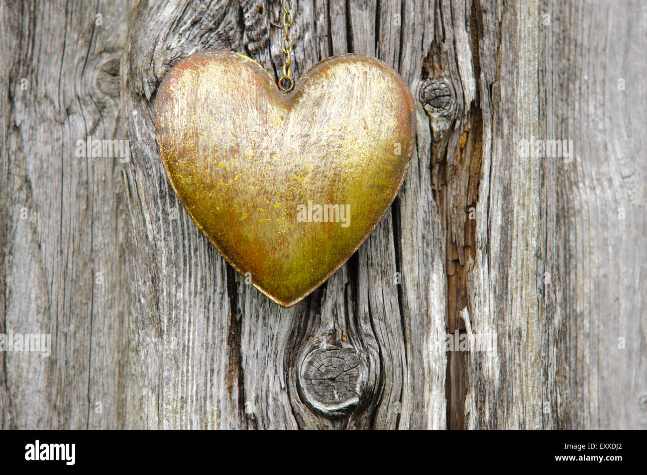 Carve love symbol hi-res stock photography and images - Alamy