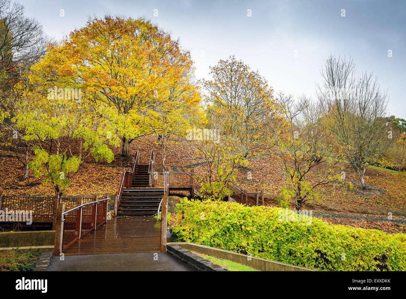 A beautiful peaceful autumn scene in the park during the rain Stock ...