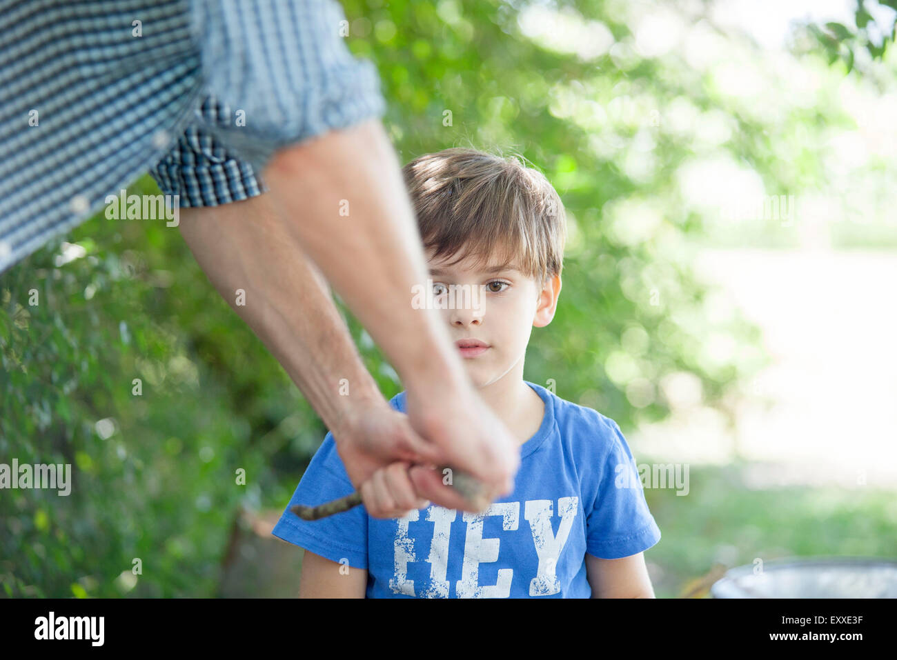 Boy watching father break stick Stock Photo - Alamy