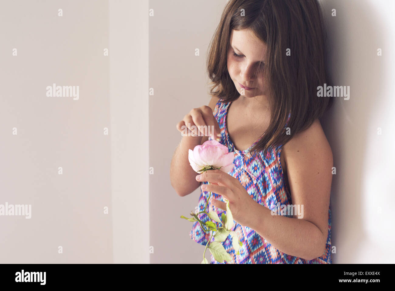 Child Picking Rose High Resolution Stock Photography and Images - Alamy