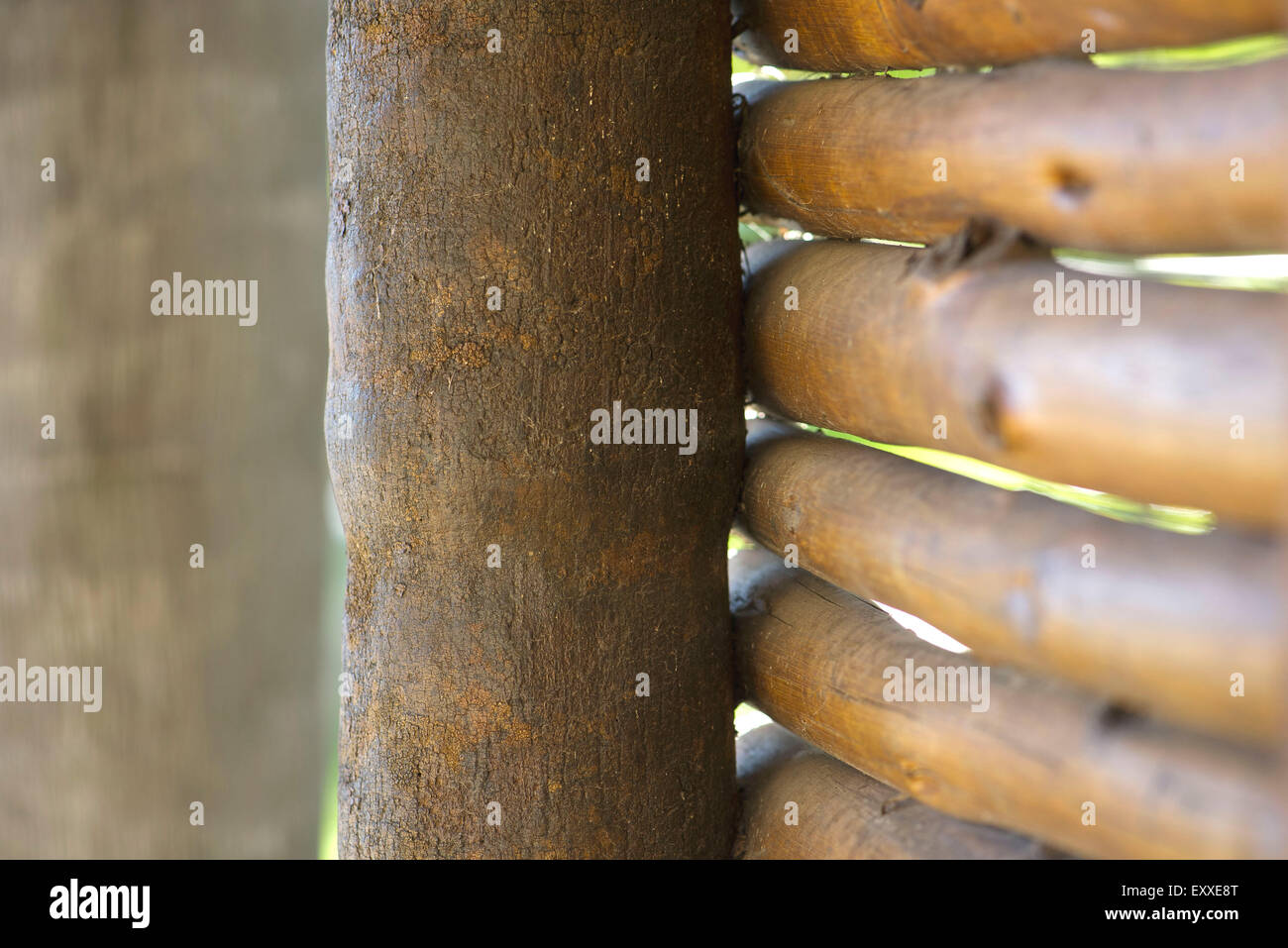 Rustic bamboo fence, close-up Stock Photo - Alamy