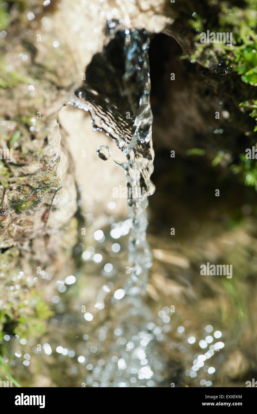 Up the creek without hi-res stock photography and images - Alamy
