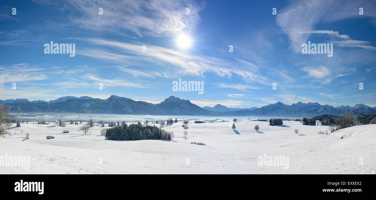 panorama landscape in Bavaria with alps mountains and lake Forggensee ...