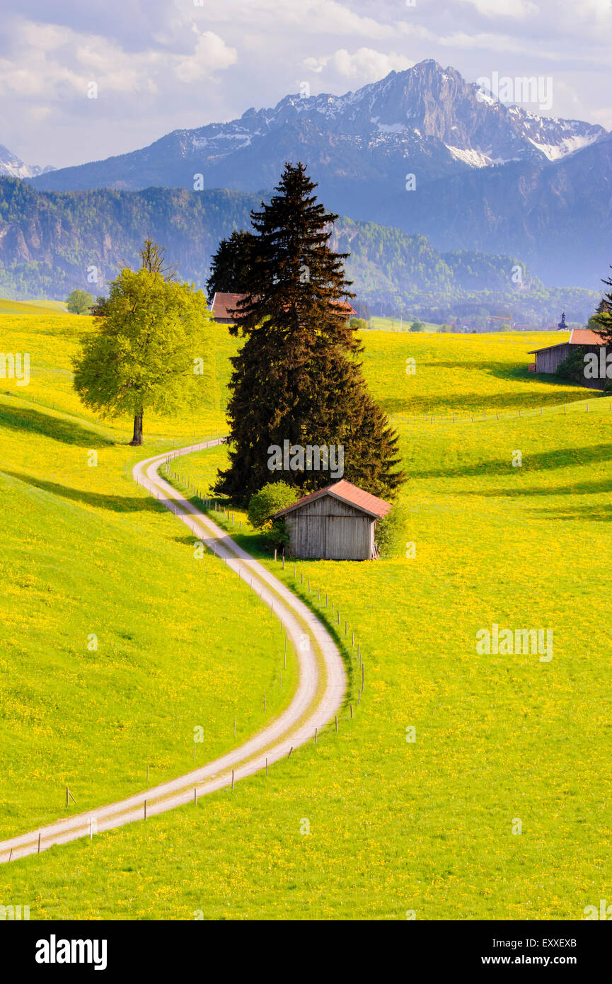 small track through meadows at spring Stock Photo - Alamy