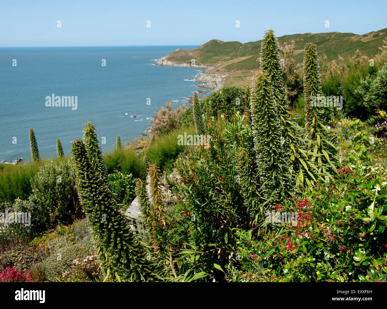 Clifftop ornamental garden, Foamlea, Chapel Hill, Mortehoe, Woolacombe ...