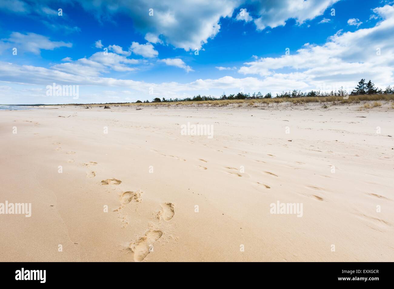 Beautiful beach landscape with cloudy sky and sea with waves. Baltic ...