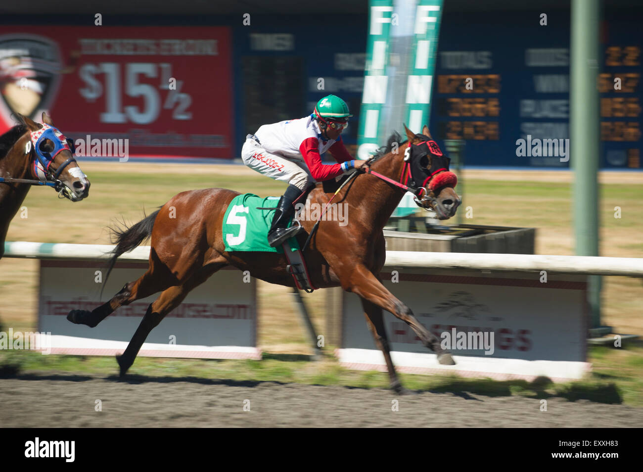 Horse crosses finishing line at Vancouver Hastings Exhibition Park race ...