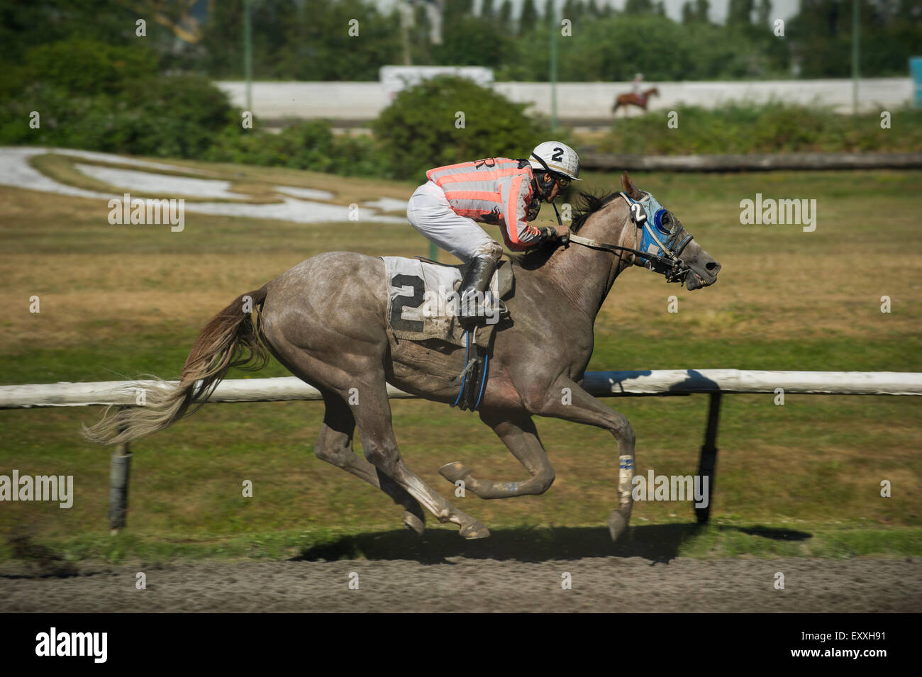 Jockey racing at Vancouver Hastings Exhibition Park race track Stock ...