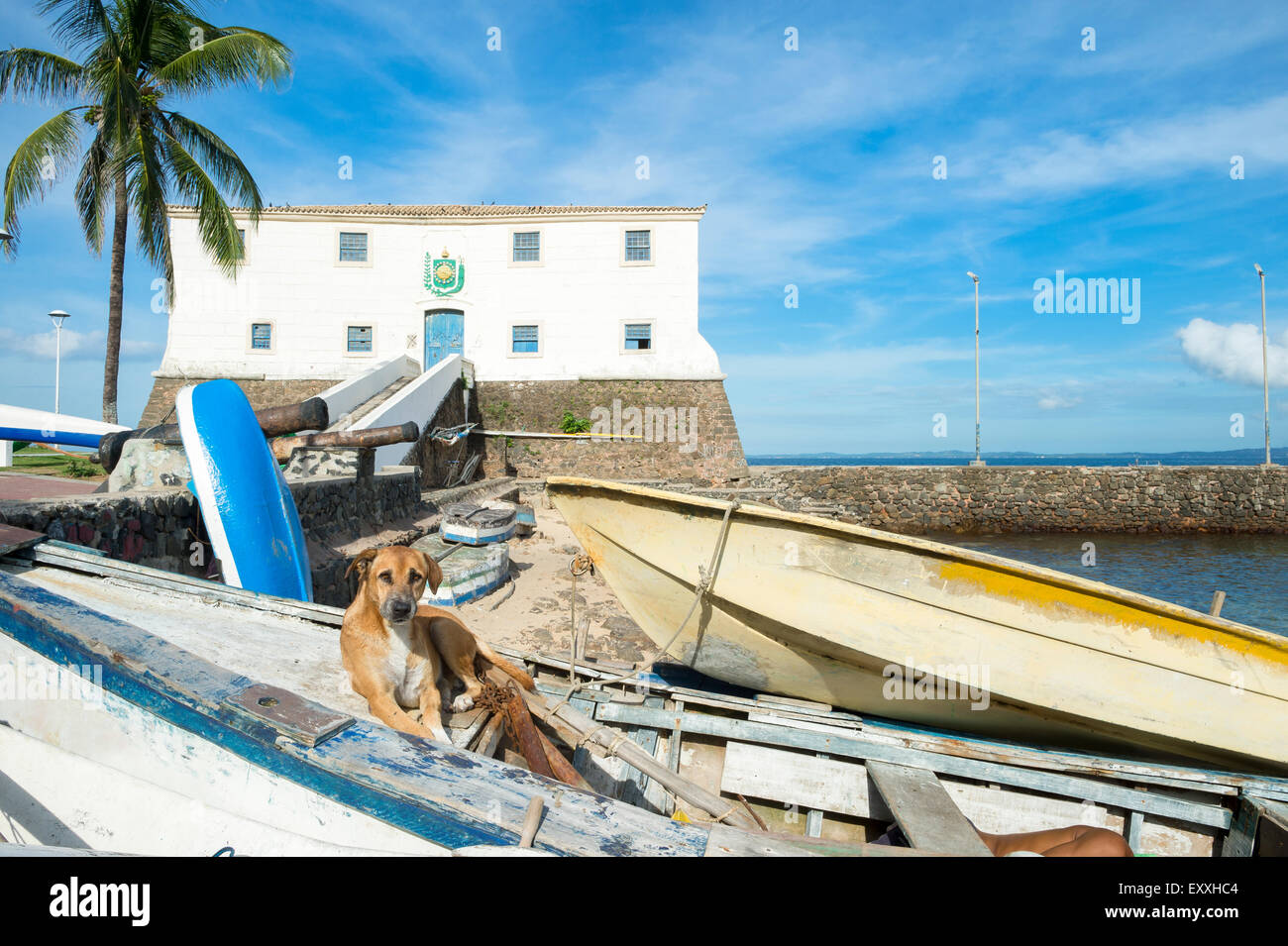 Brazilian stray dog lies in the sun on a pile of traditional colorful ...