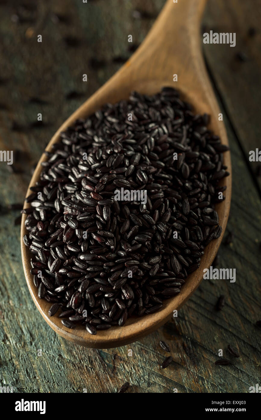Raw Dry Organic Black Rice in a Spoon Stock Photo - Alamy