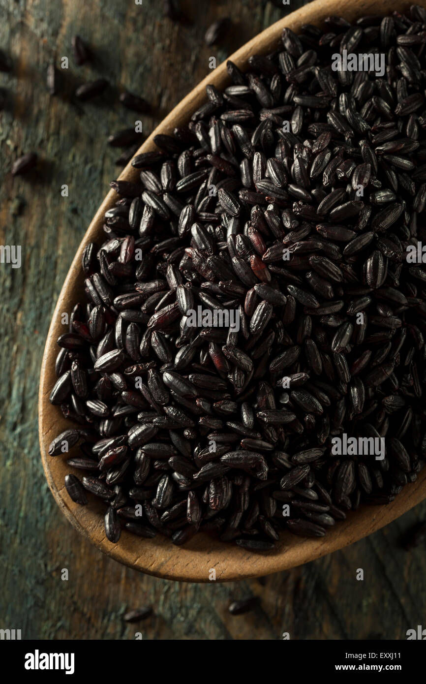Raw Dry Organic Black Rice in a Spoon Stock Photo - Alamy