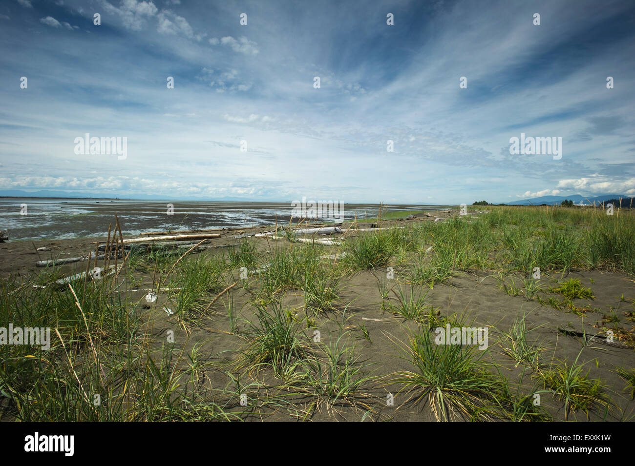 Grassy Beach High Resolution Stock Photography and Images - Alamy