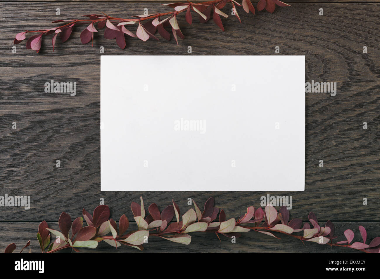 vintage toned photo of autumn leaves over wood table Stock Photo - Alamy
