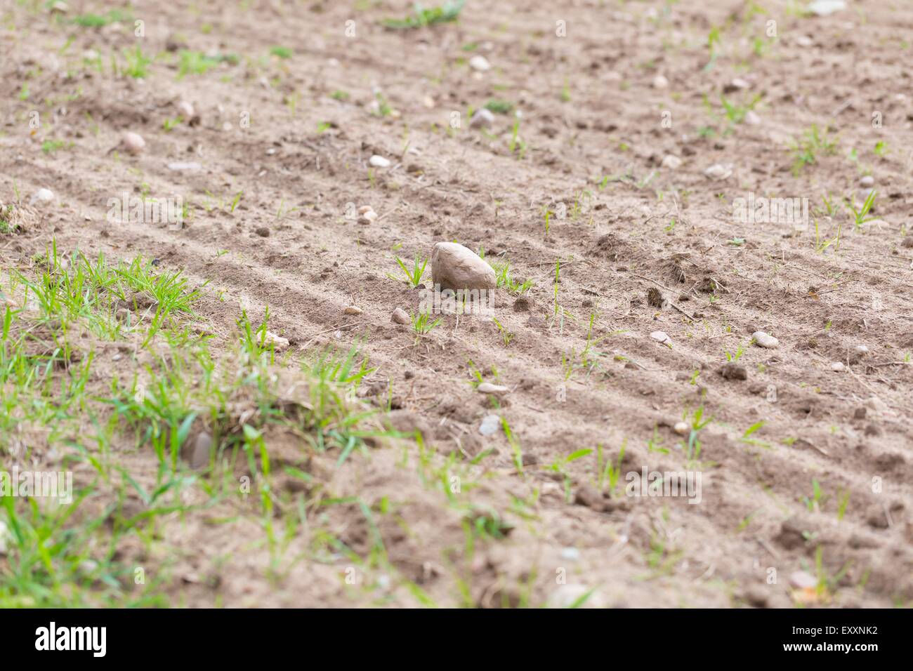 Deep sky wide field hi-res stock photography and images - Alamy